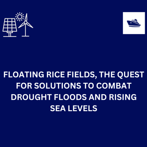 Floating Rice Fields, the quest for solutions to combat drought floods ...
