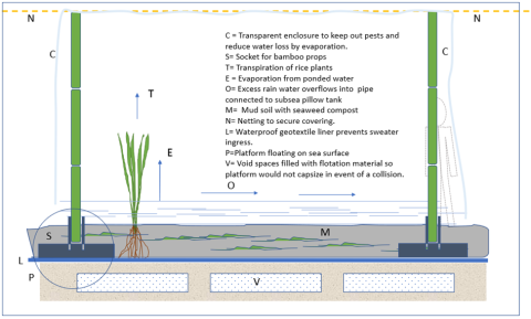 Floating Rice Fields, the quest for solutions to combat drought floods ...