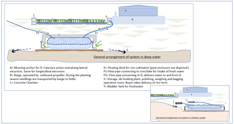 Floating Rice Fields, the quest for solutions to combat drought floods ...