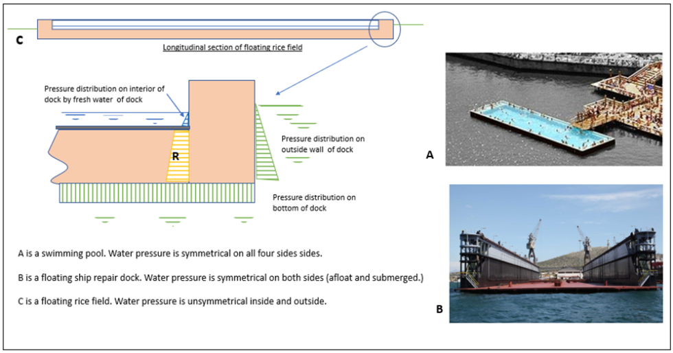 Floating Rice Fields, the quest for solutions to combat drought floods ...